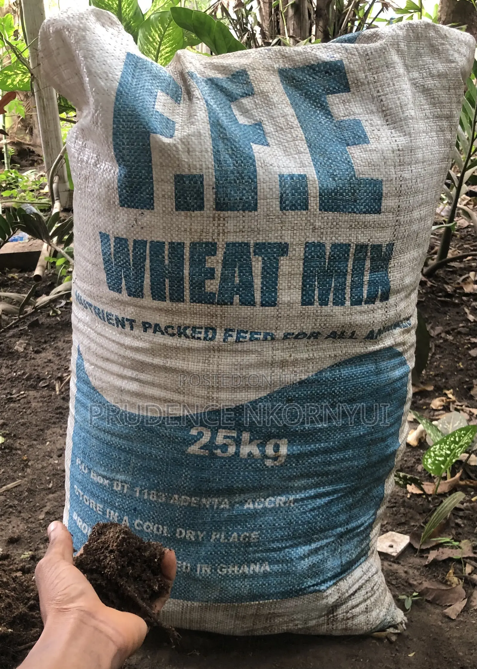 Organic Fertilizer in Adenta - Feeds, Supplements & Seeds, Prudence ...