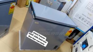 Chest Freezer Gold Star 250l Quality Gold Star Freezer in Accra New ...