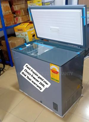 Fast Freeze Gold Star 250l Chest Freezer Gold Star 250l in Accra ...