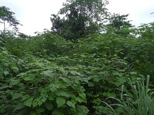 60 Acres of Farm Lands/ Chiraa Ayeiyum in Sunyani Municipal - Land ...