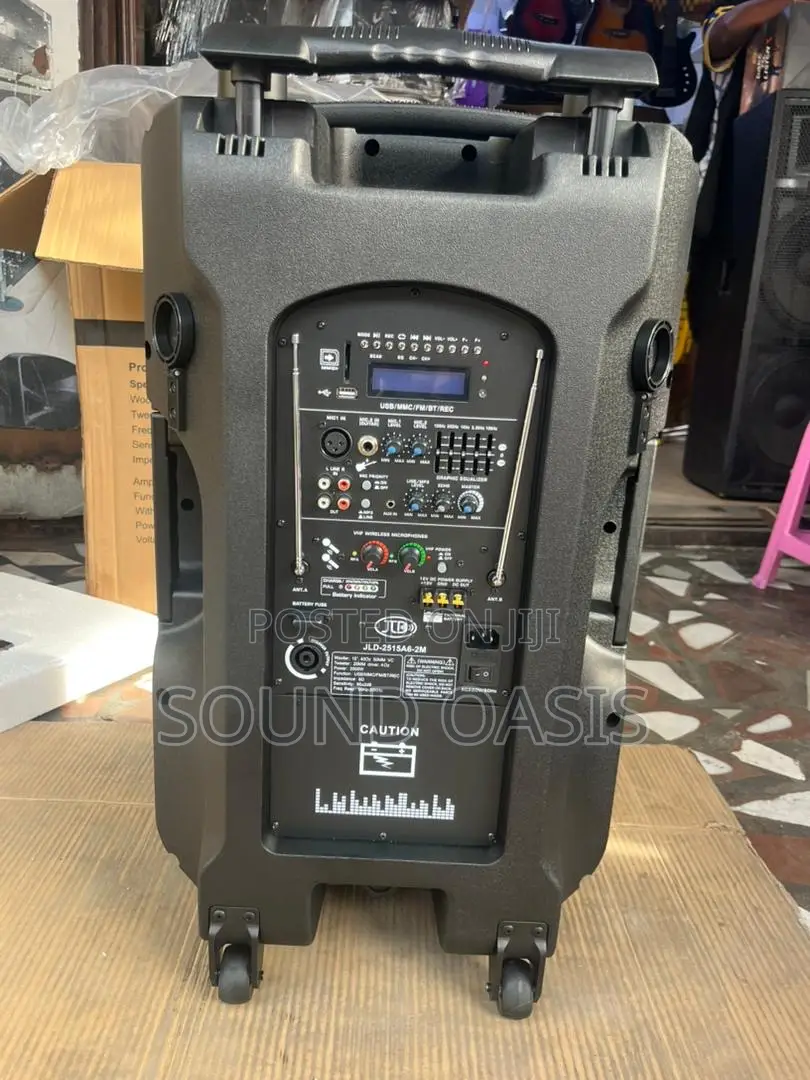 JLD Rechargeable Bluetooth Speaker With Two Wireless Microphones in ...