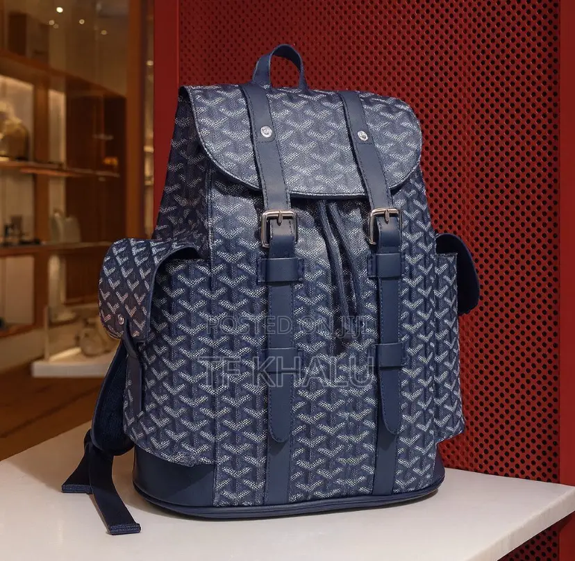 Goyard Alpin Mm Backpack in Accra Metropolitan - Bags, tf Khalu | Jiji ...