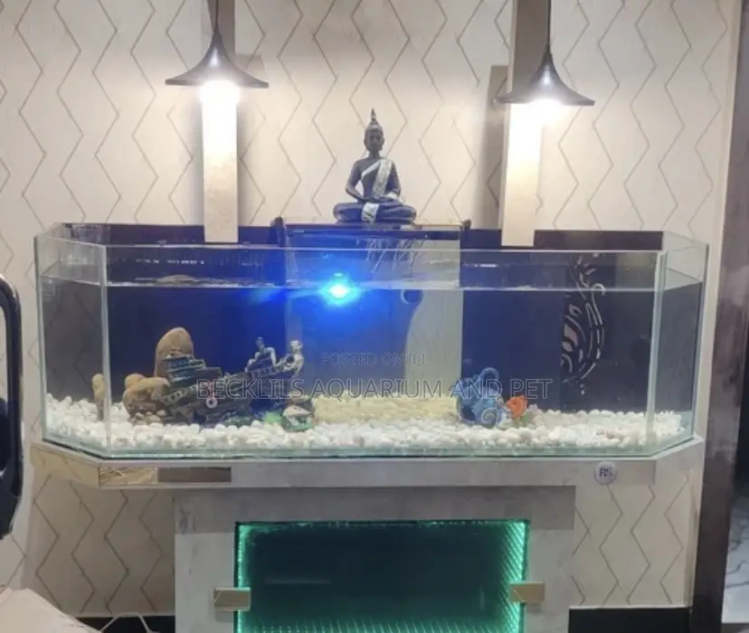 Point and Kill Aqurium. Glass Tank in Madina - Fish, Becklilz ...