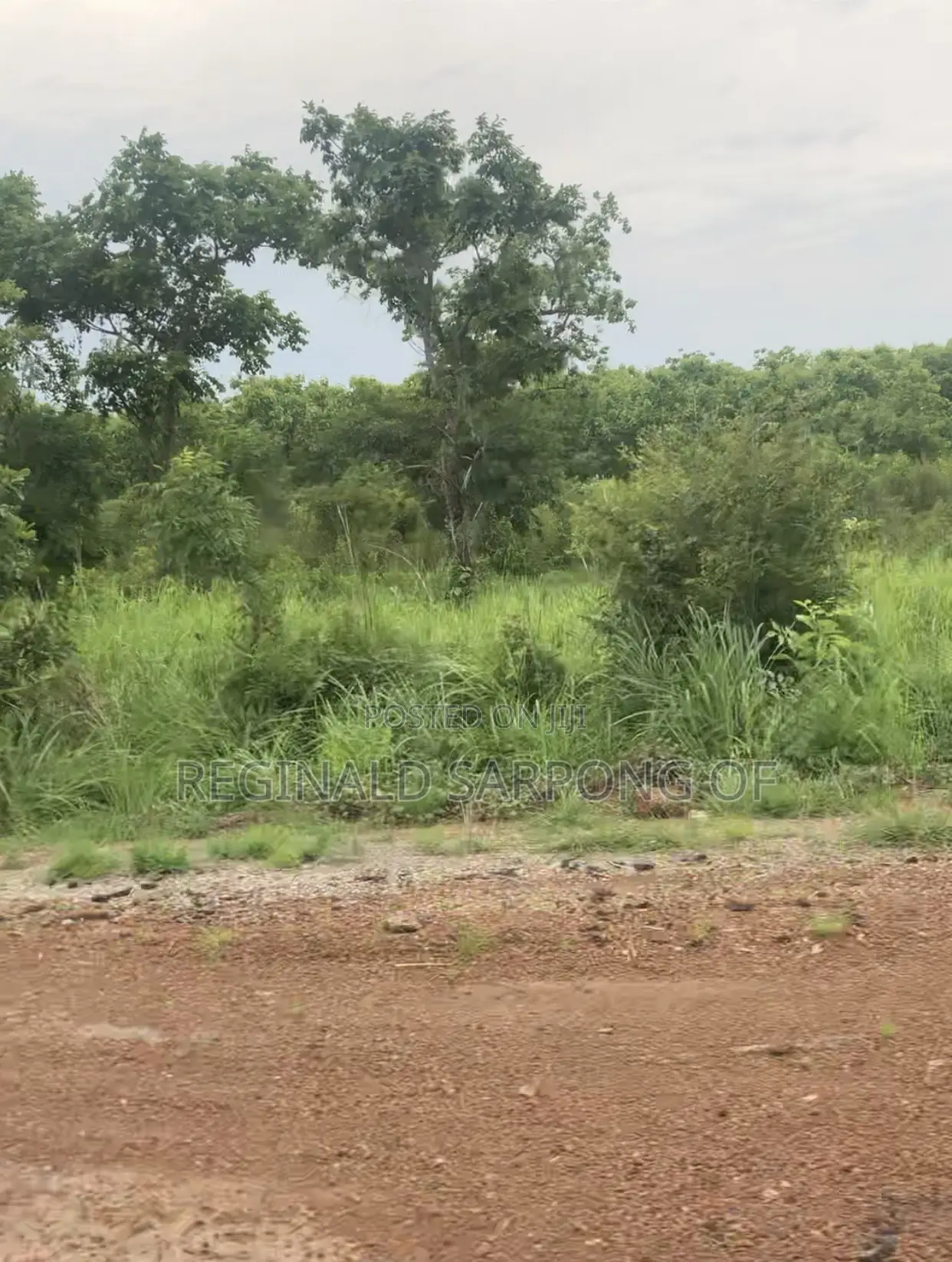 Roadside 10-Acre Land With Access to Electricity.In the Agogo Area. in ...