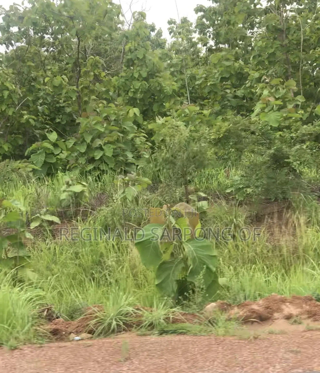 Roadside 10-Acre Land With Access to Electricity.In the Agogo Area. in ...