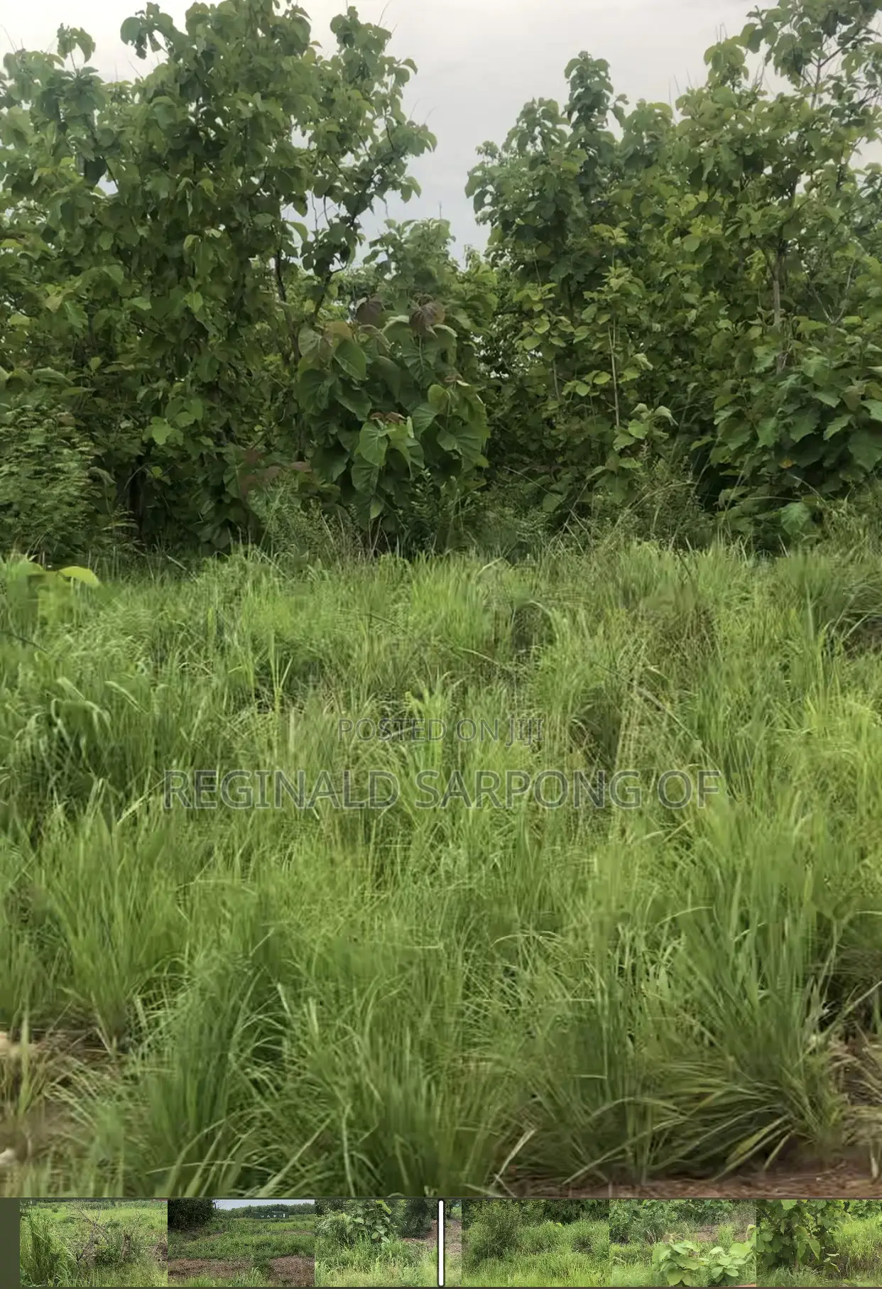 Roadside 10-Acre Land With Access to Electricity.In the Agogo Area. in ...