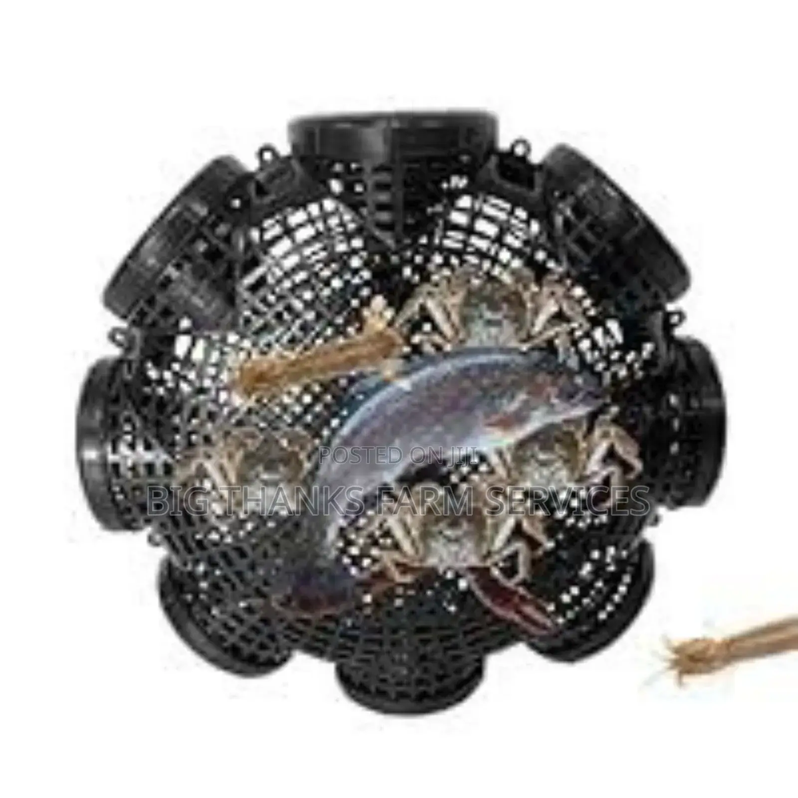 Fish/Crab/Shrimp Traps in Accra Metropolitan - Farm Machinery ...