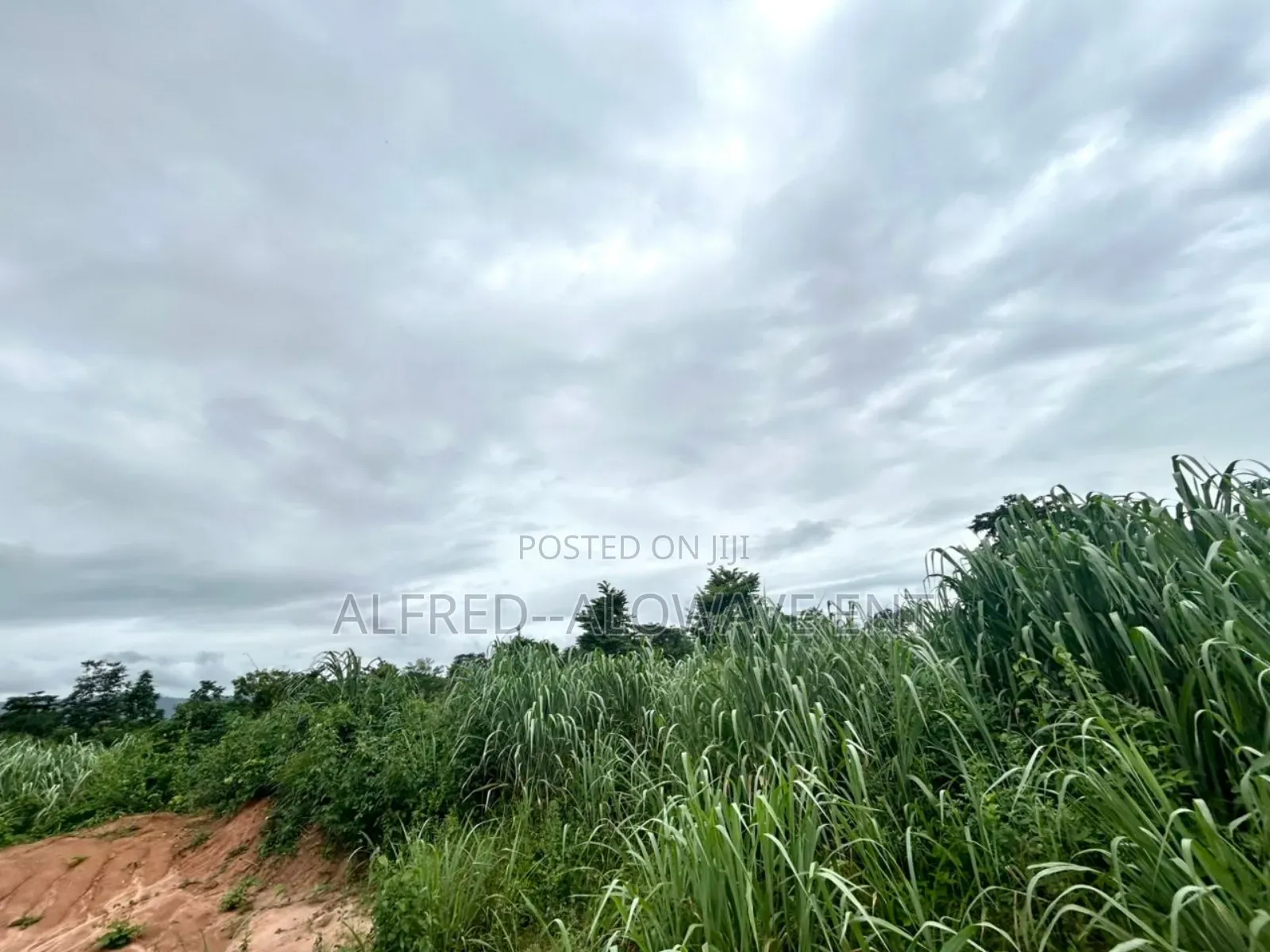 Farmlands on Adukrom - Koforidua Road in Akuapim North - Land & Plots for Sale, Alfred Alfred ...