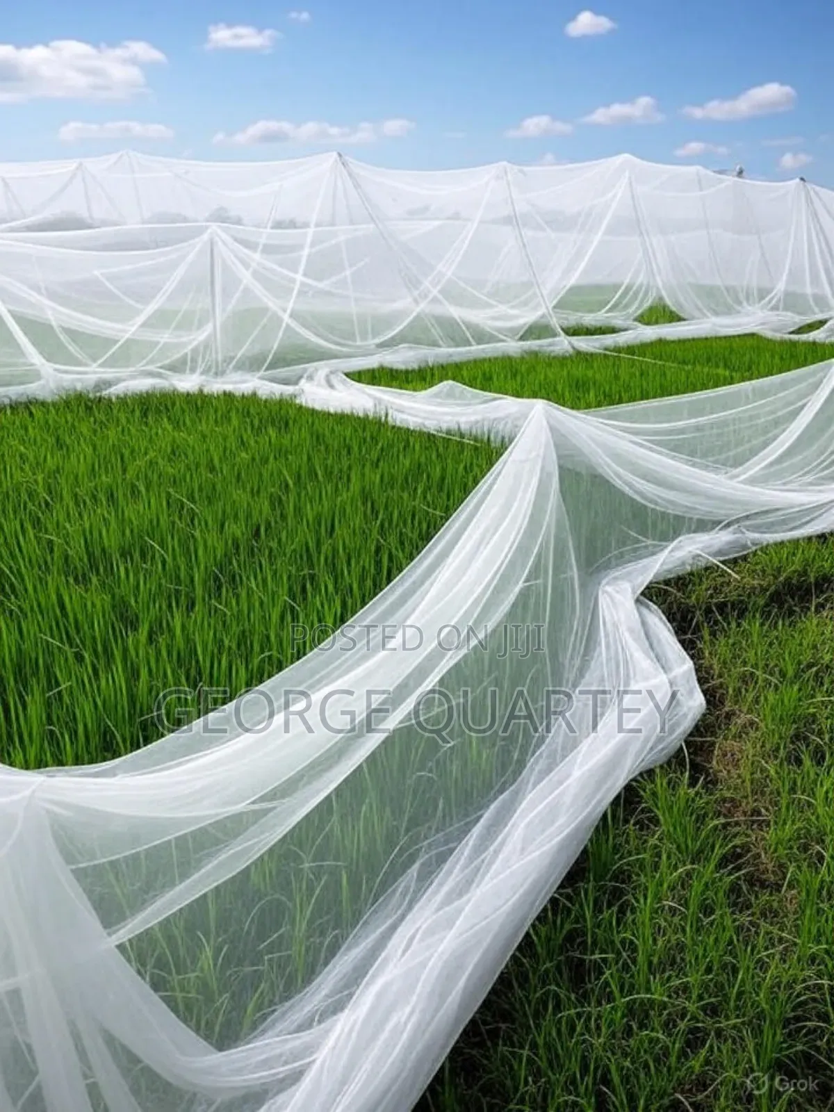Rice and Fish Nets for Sale for sale - Price: GH₵ 80 on Jiji.com.gh ...