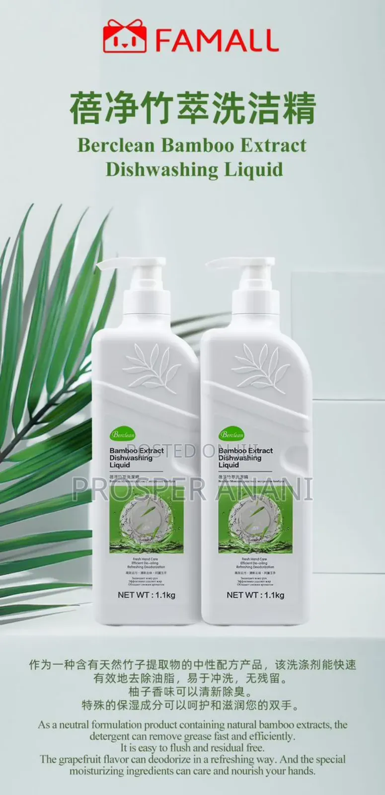 Berclean Bamboo Extract Dishwashing Liquid 1.1kg in Spintex ...