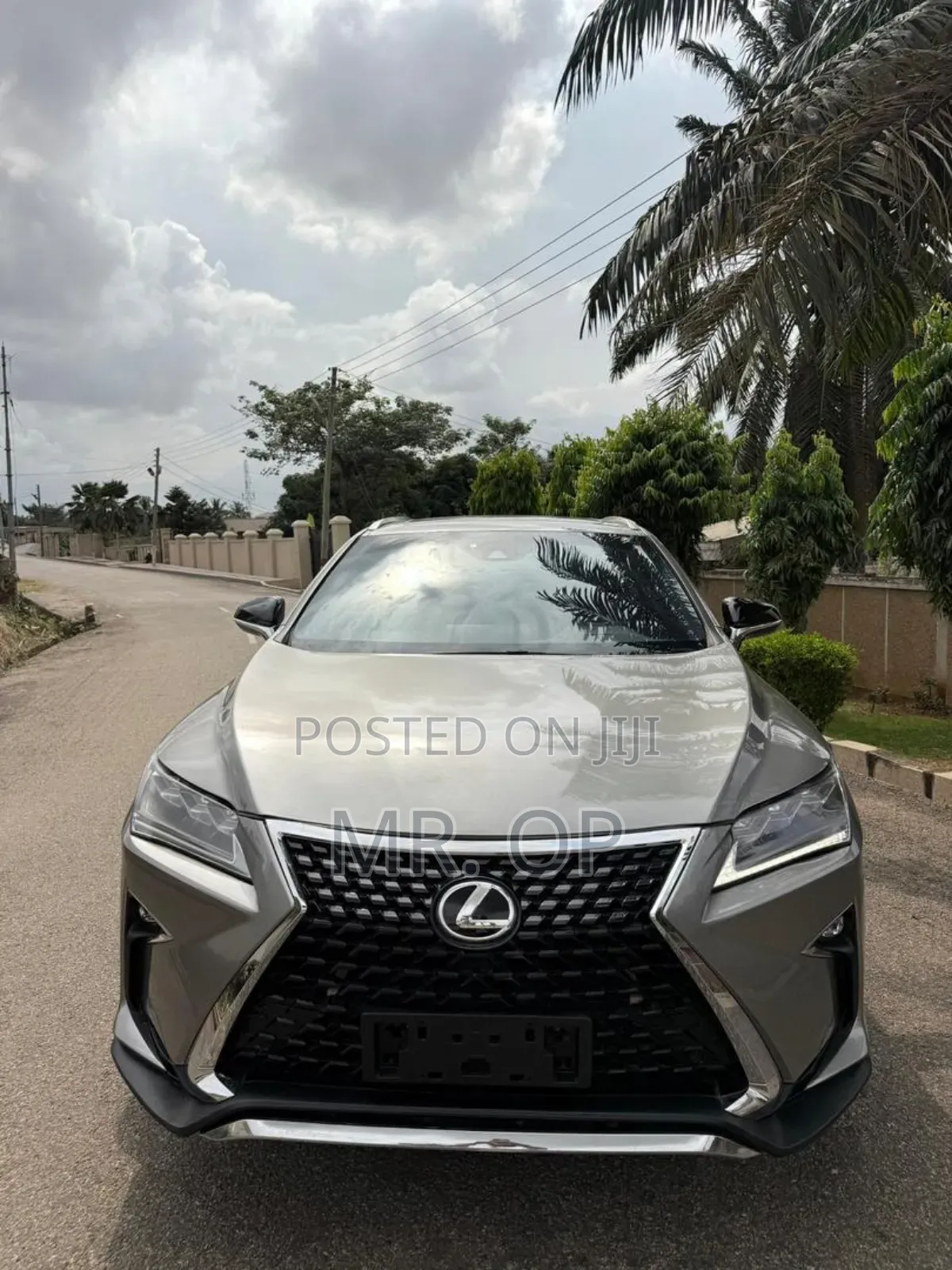 Lexus RX 350 2019 in Kumasi Metropolitan - Cars, Francis Opare | Jiji ...