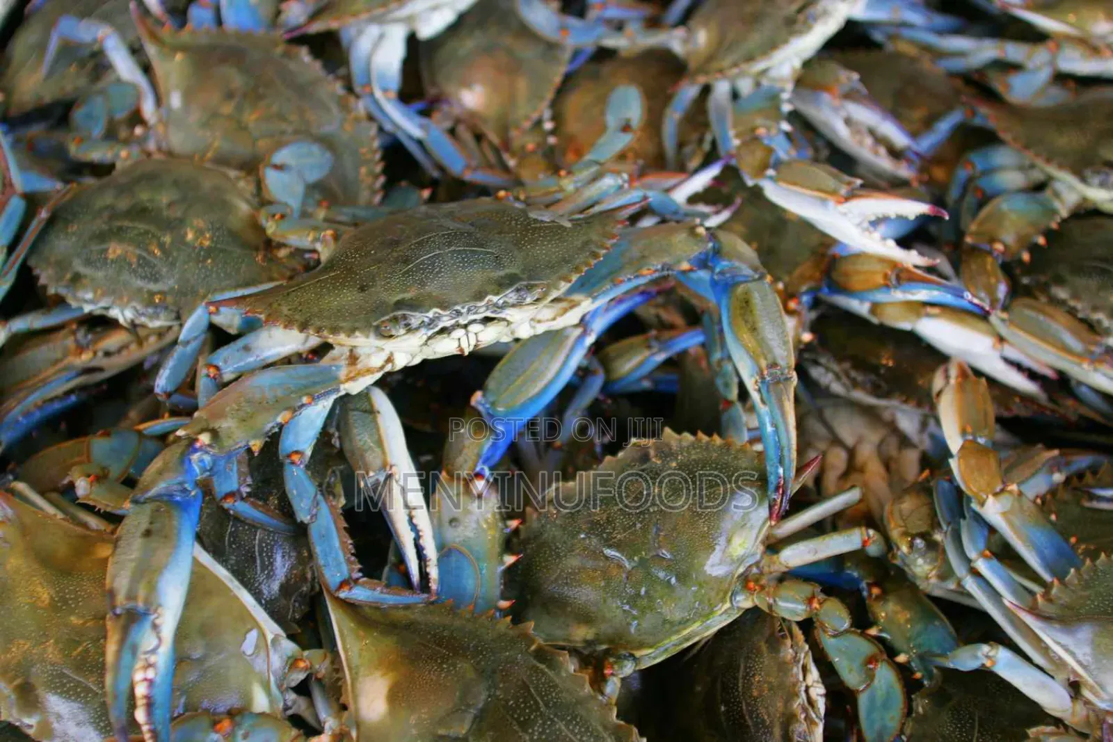 Fresh Crab in Ghana – Wholesale Retail | Direct From the Sea in Ga East ...