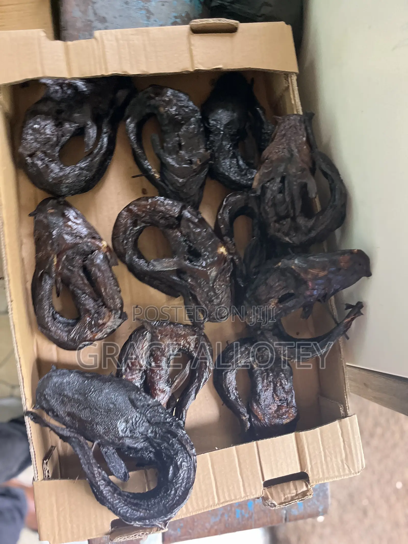 Cat Fish for Sale in Cantonments - Farm Animals, Grace Allotey | Jiji ...