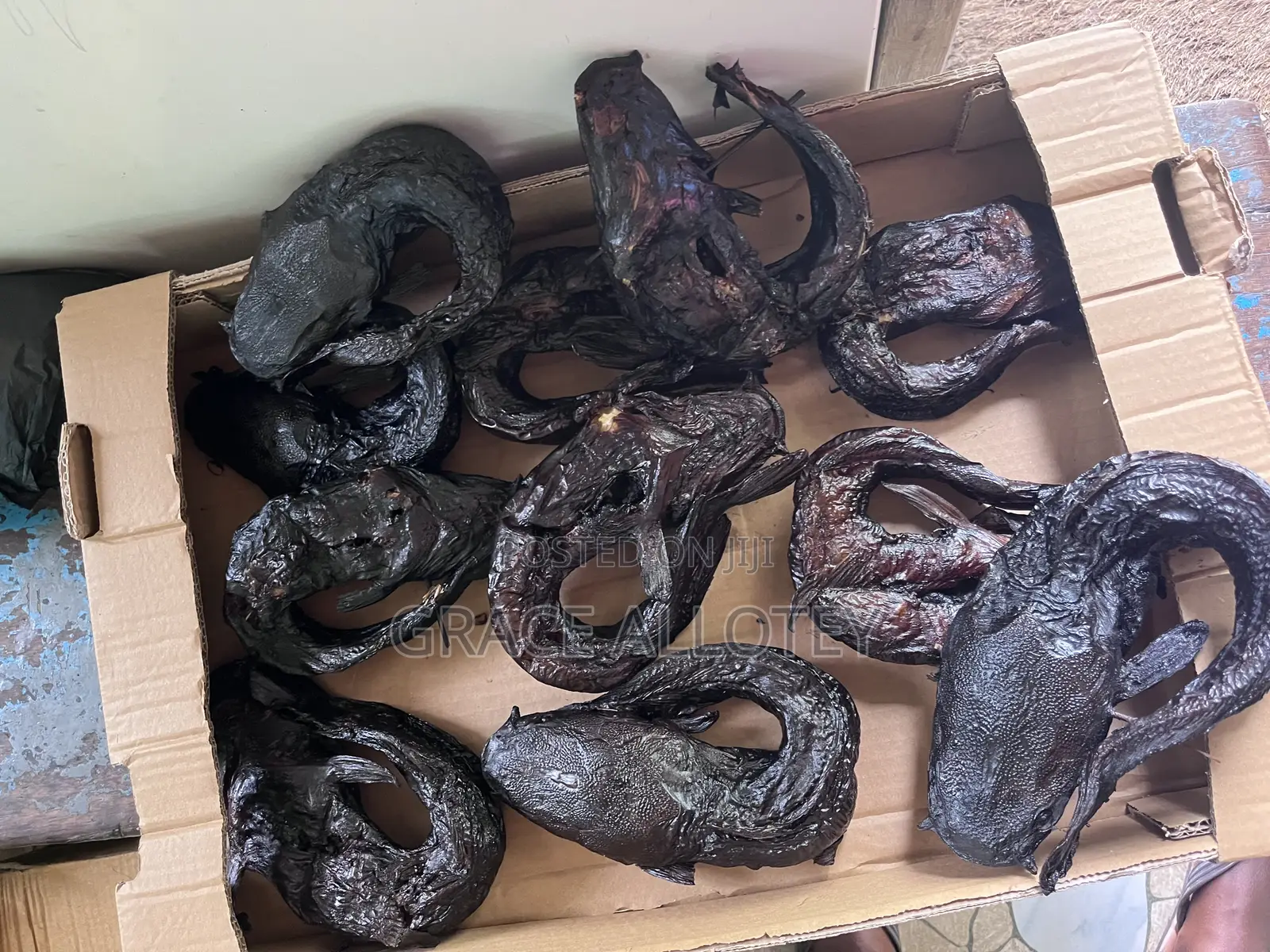 Cat Fish for Sale in Cantonments - Farm Animals, Grace Allotey | Jiji ...