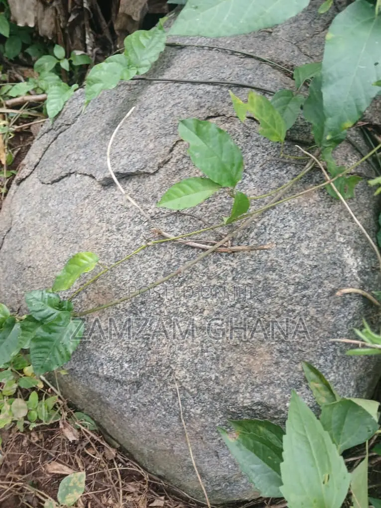 Blackstone Quarry Concessions – 30 Acres Granite Land for Sale in New ...