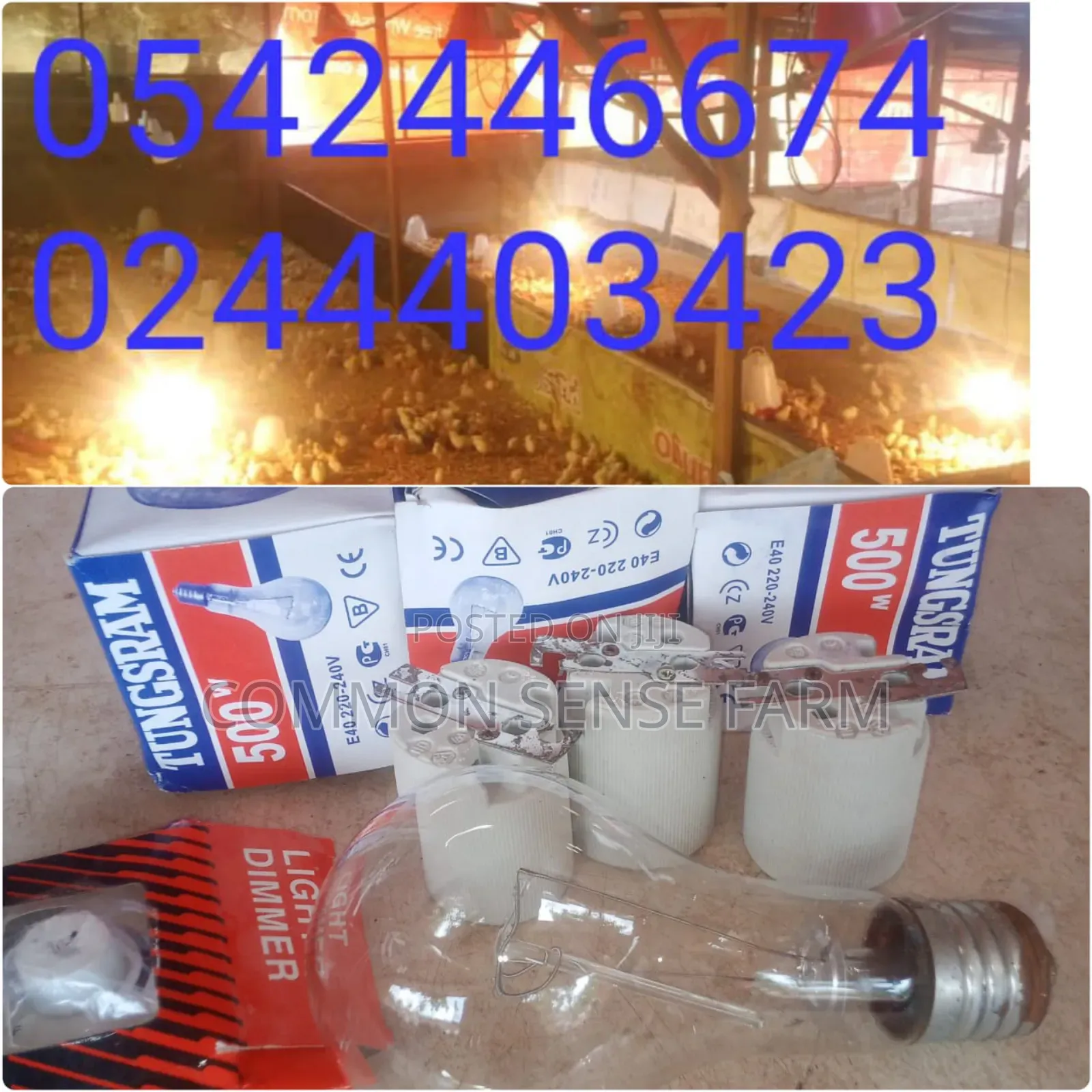 Brooding Bulb in Lower Manya Krobo - Farm Machinery & Equipment, Common ...