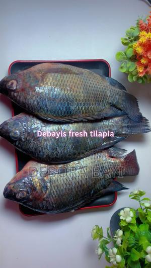 Fresh Tilapia For Sell in Madina - Food & Beverages, Debora Bayi | Jiji ...