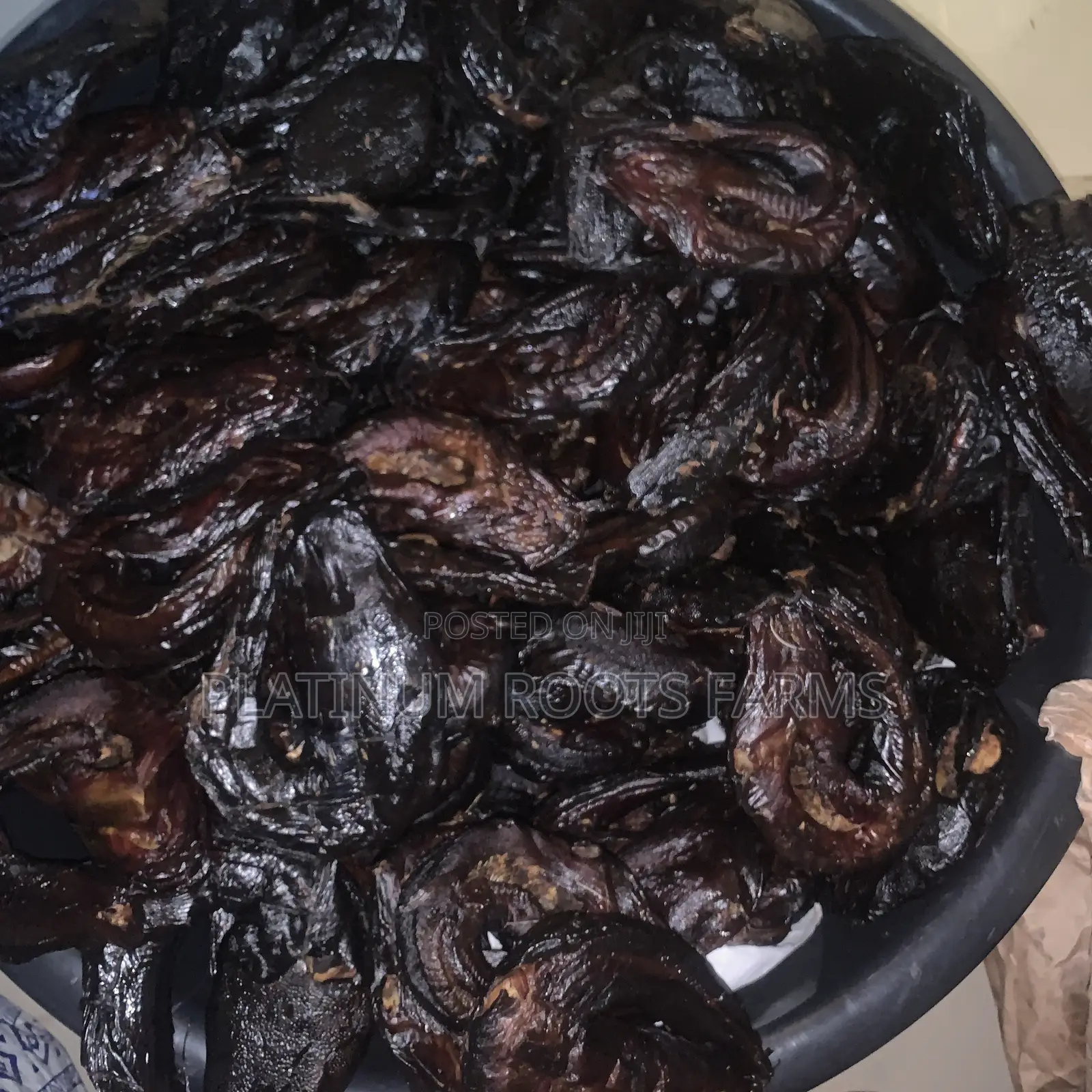 Freshly Smoked Catfish – Direct From Our Fish Farm in Weija - Food ...