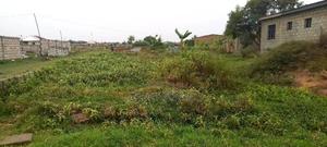 1000 Acres of Farmland Available for Sale at Asamankese in West Akim ...