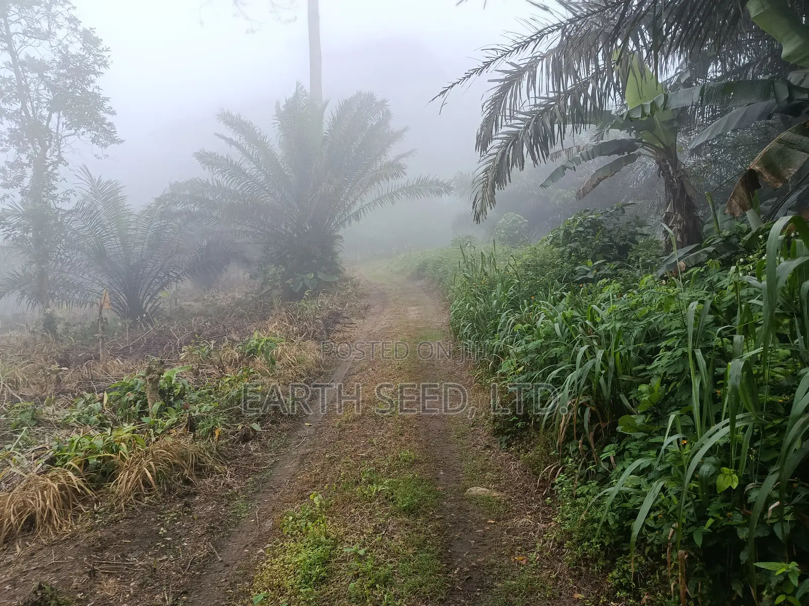 Registered Land, Remote Area, 2km From Aburi Gardens in Aburi - Land ...