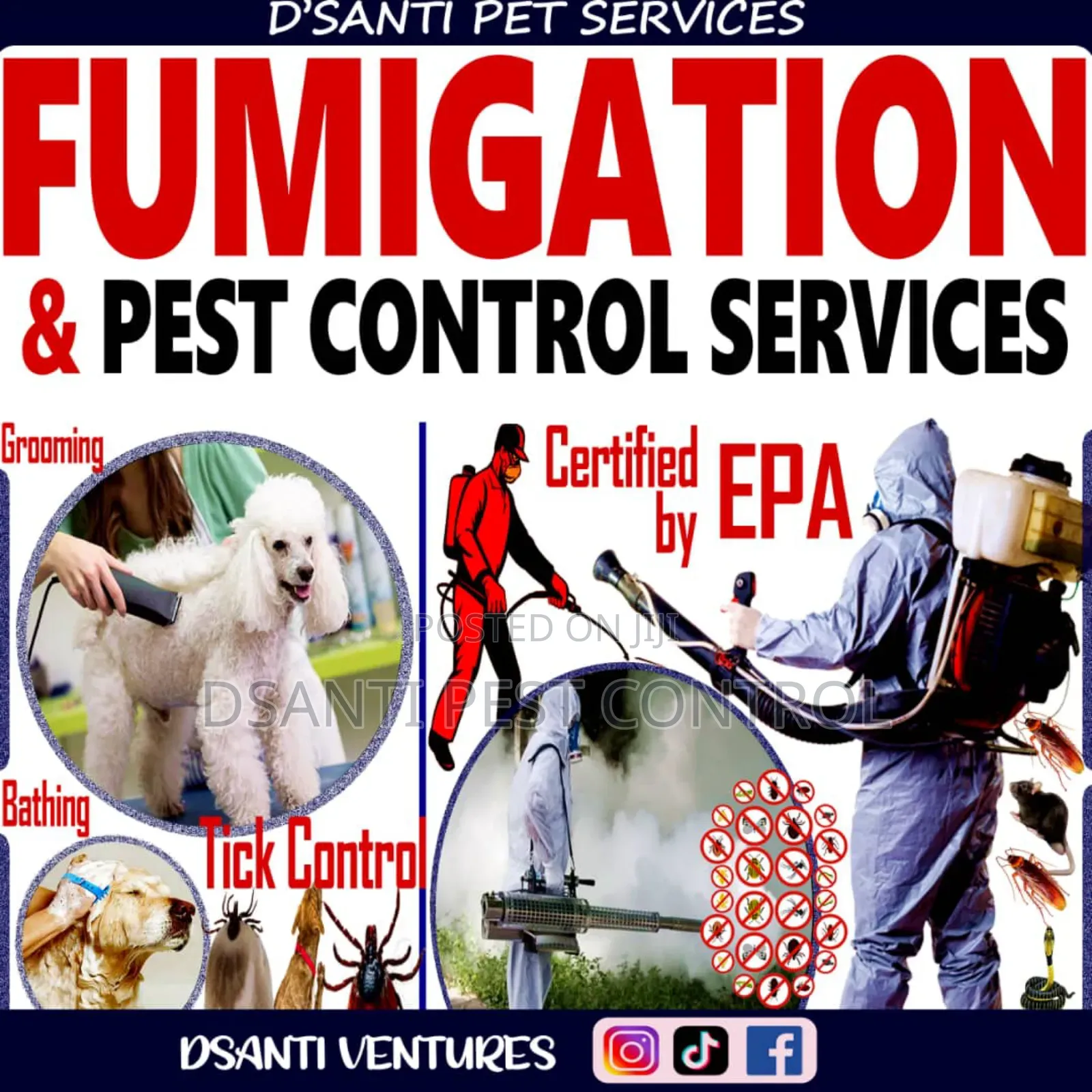 D'santi Pest Control, Fumigation & Cleaning Services in Adenta ...
