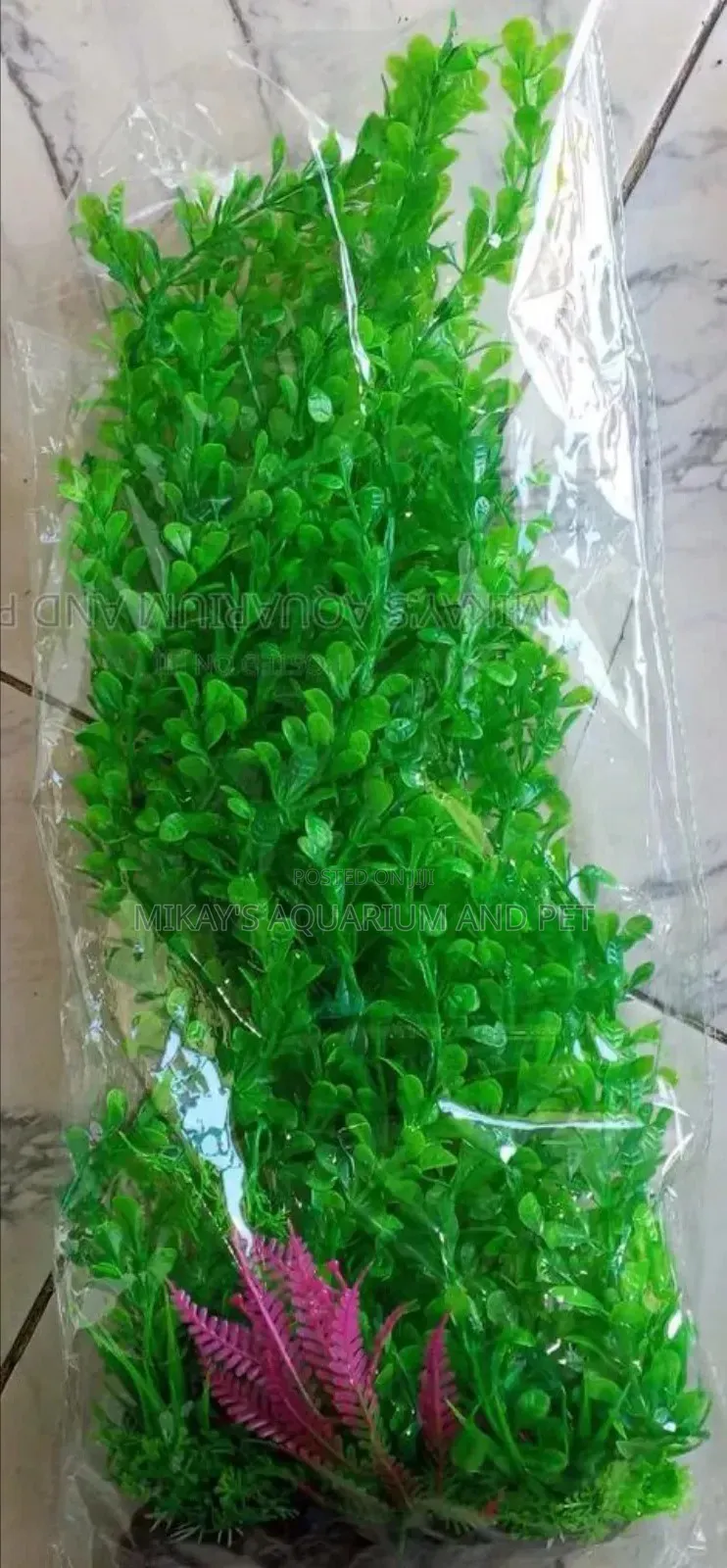 Long Aquarium Plant in Madina - Fish, Mikay's Aquarium And Pet Shop ...