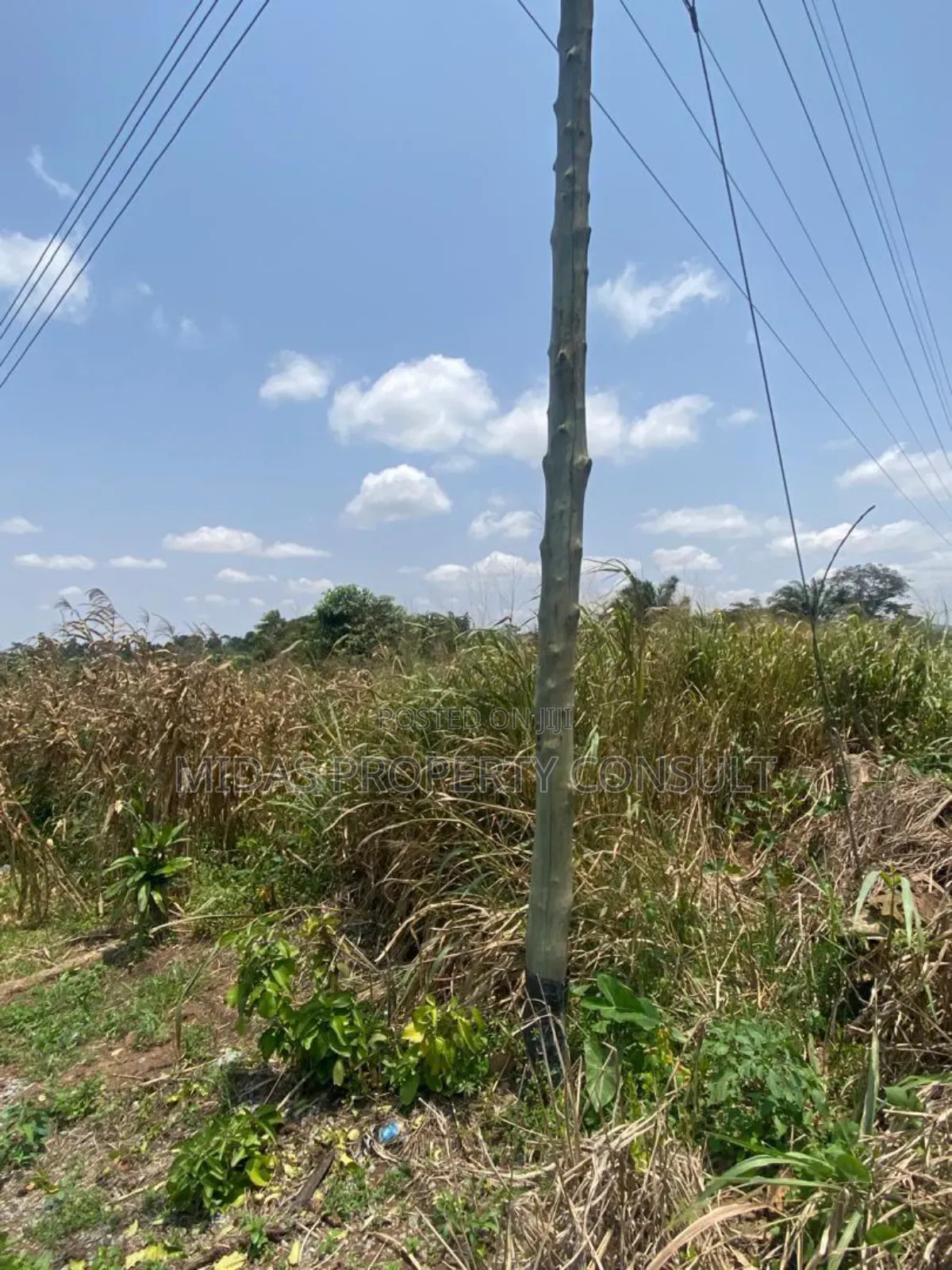 4 Plots for Sale at Aburi Gyankama in Aburi - Land & Plots for Sale ...