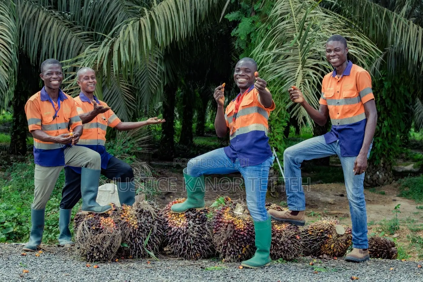 Farm Workers Job Vacancy in Accra Metropolitan - Manual Labour Jobs ...