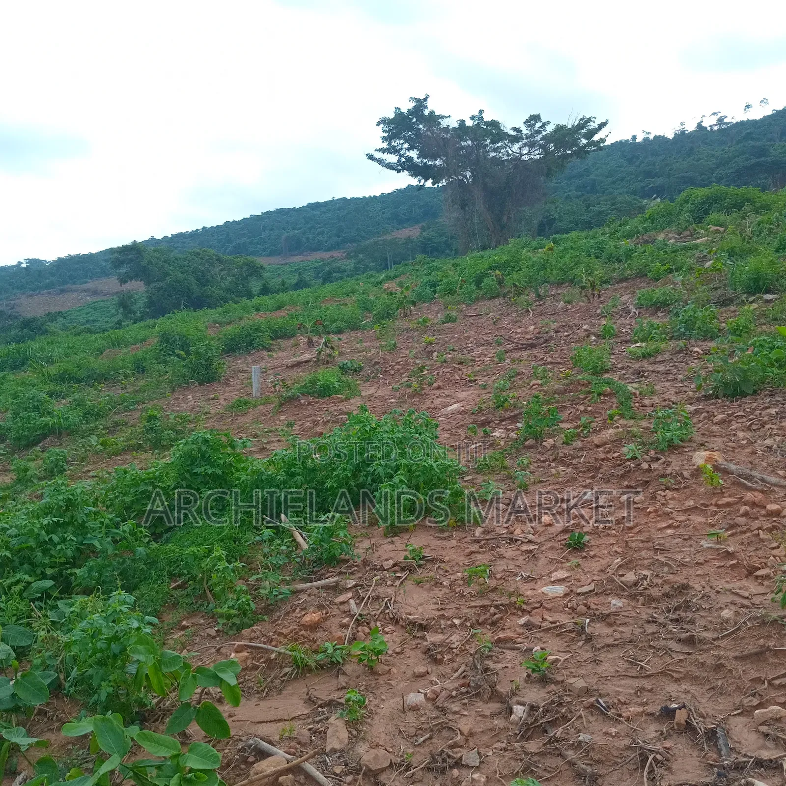 Promotion at Aburi Green Hills in Aburi - Land & Plots for Sale ...