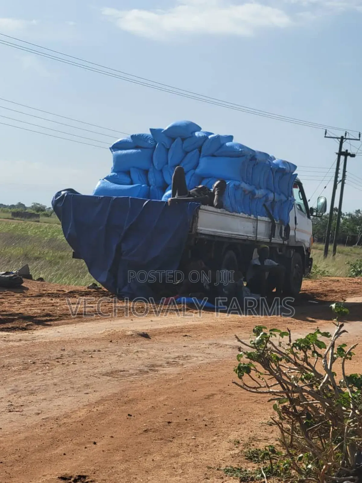 Natural Ada Salt in Dodowa - Food & Beverages, Vechovaly Farms | Jiji ...