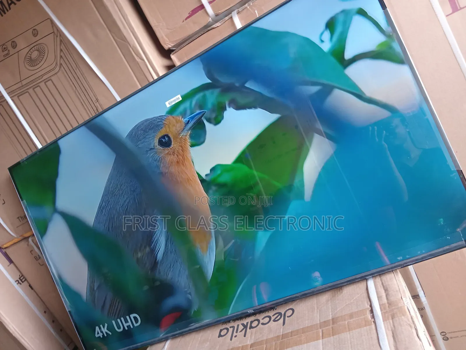Big Screen, Bold Visuals — TCL 55 Inches Smart Tv Delivers It All. in ...