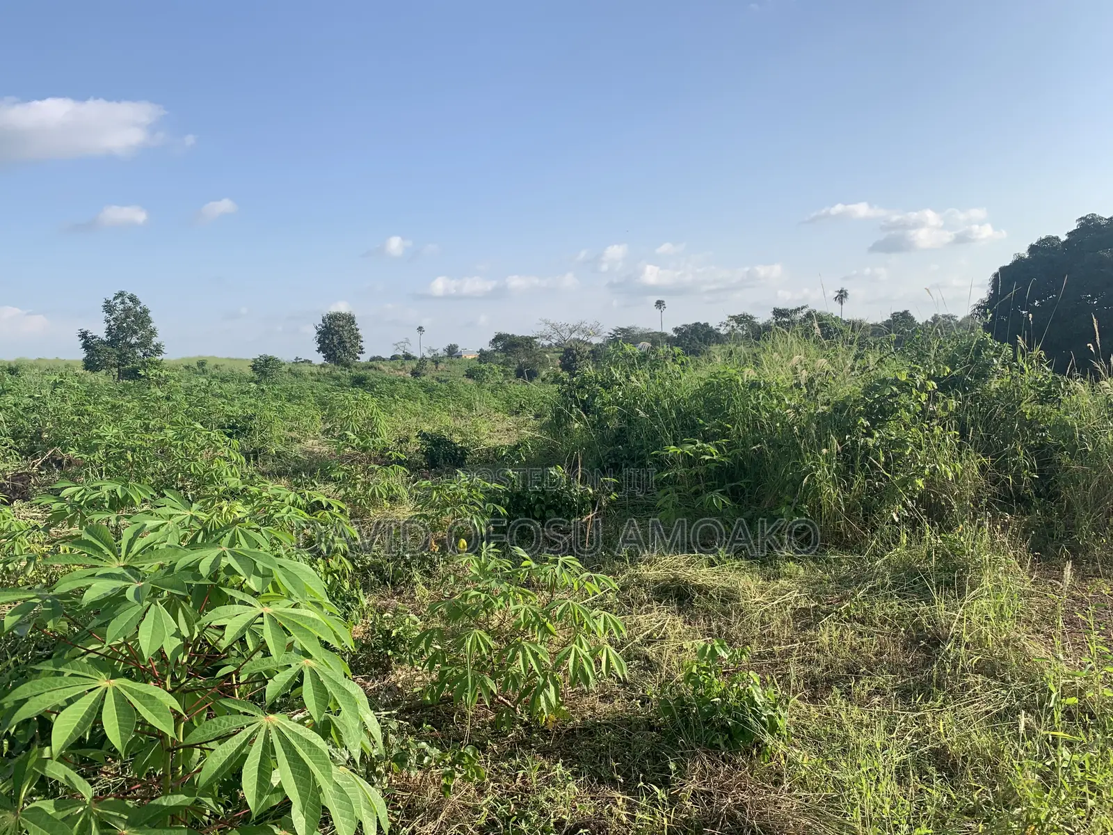 Farm Land Located at Sunyani Chiraa in Sunyani West - Land & Plots for ...