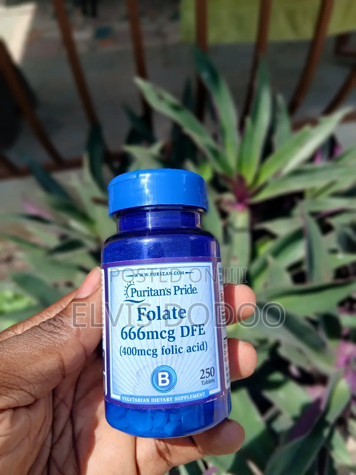 Folate 666mcg Dfe(400mcg Folic Acid) in Ga West Municipal - Vitamins ...