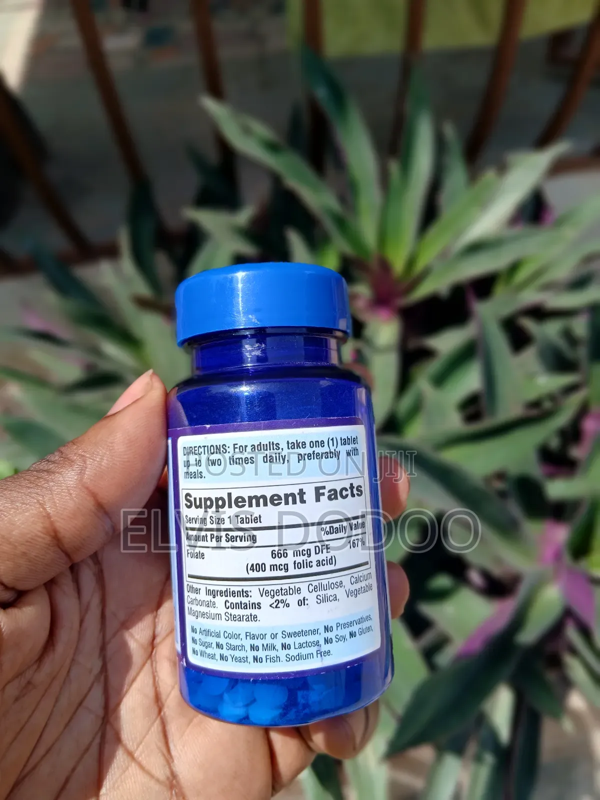 Folate 666mcg Dfe(400mcg Folic Acid) in Ga West Municipal - Vitamins ...