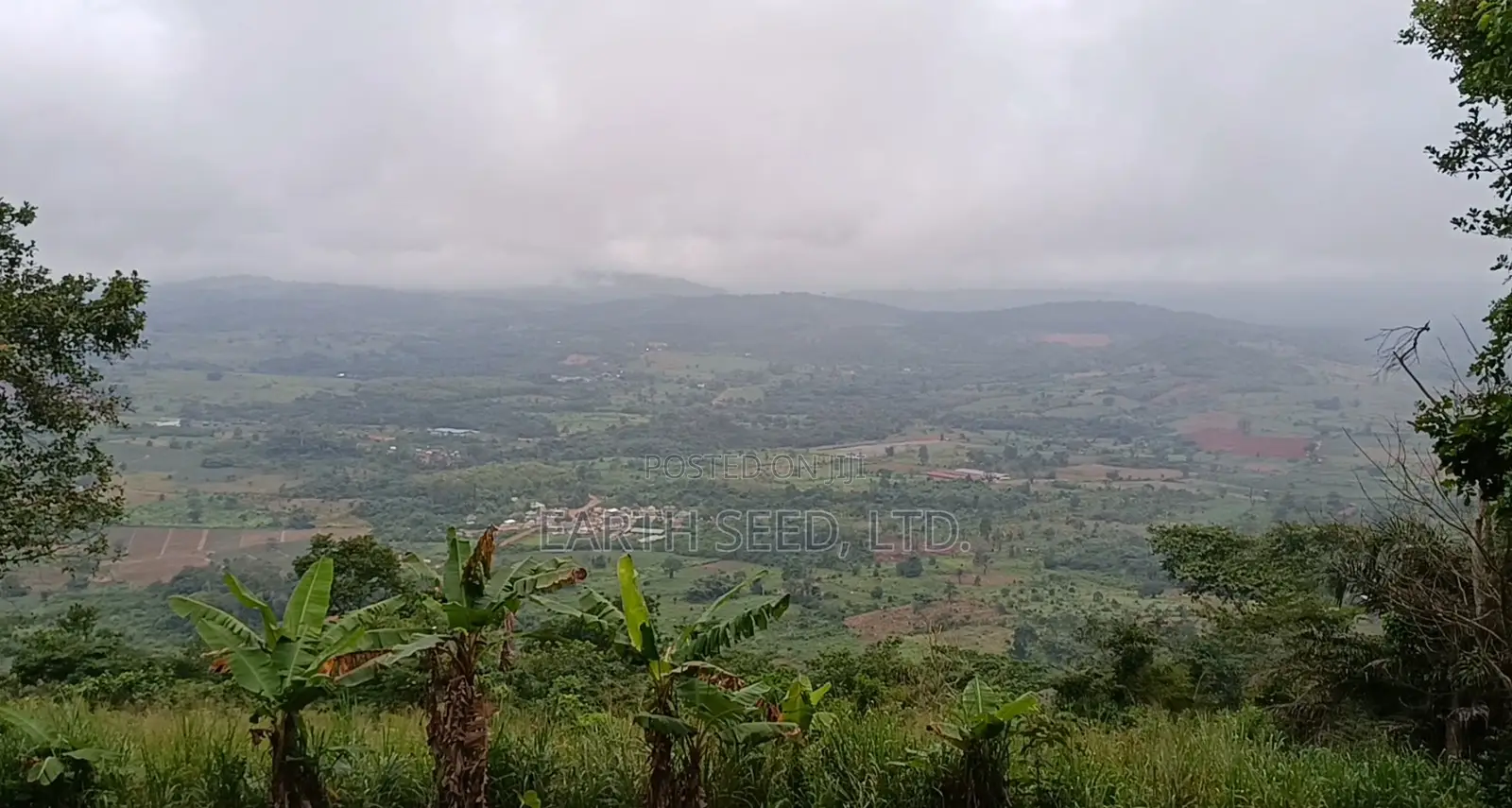 Registered Land, Remote Area, 2km From Aburi Gardens in Aburi - Land ...