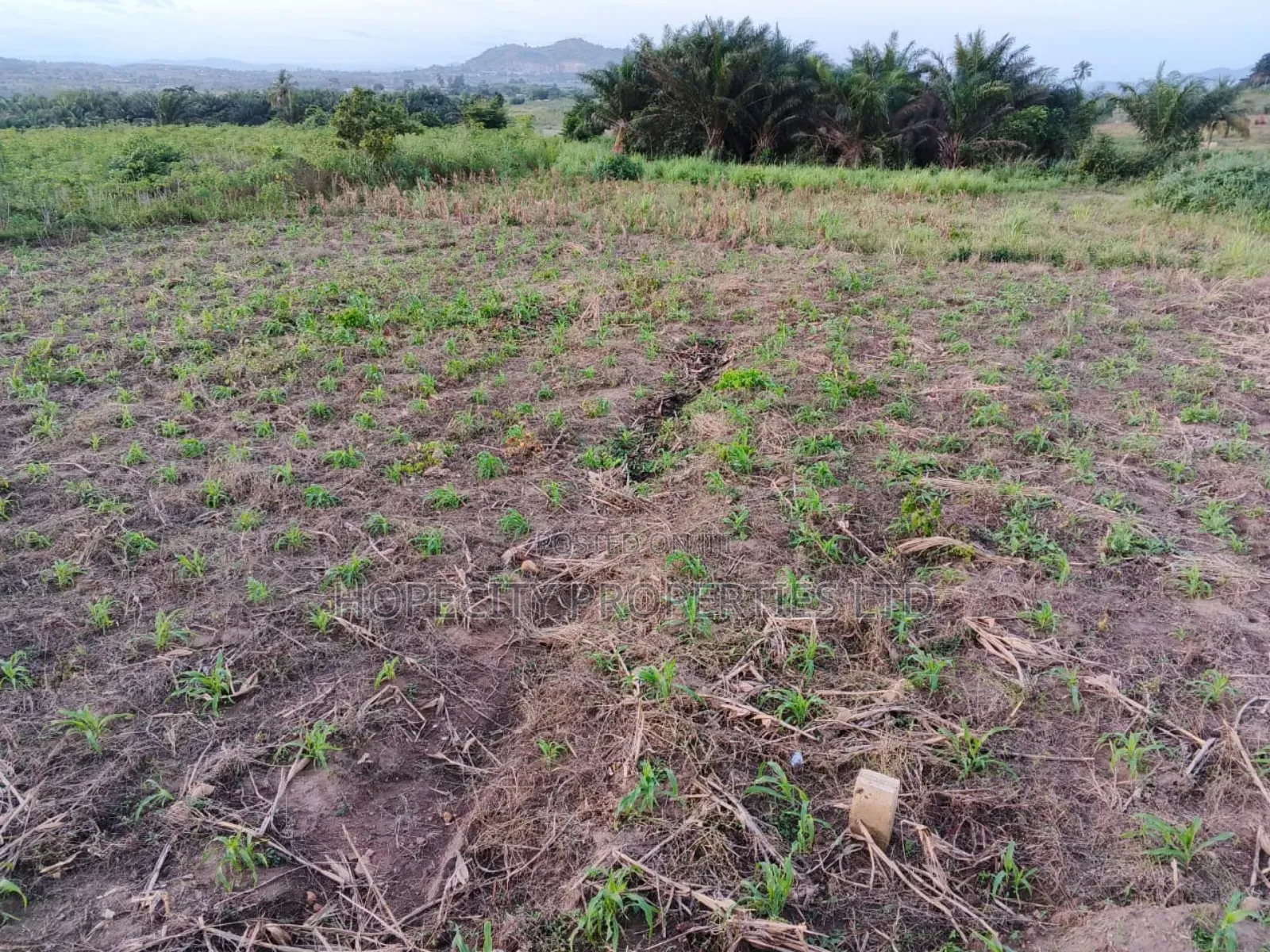 Why Wait,Buy Land Now at Adawukwa in Awutu Senya West - Land & Plots ...
