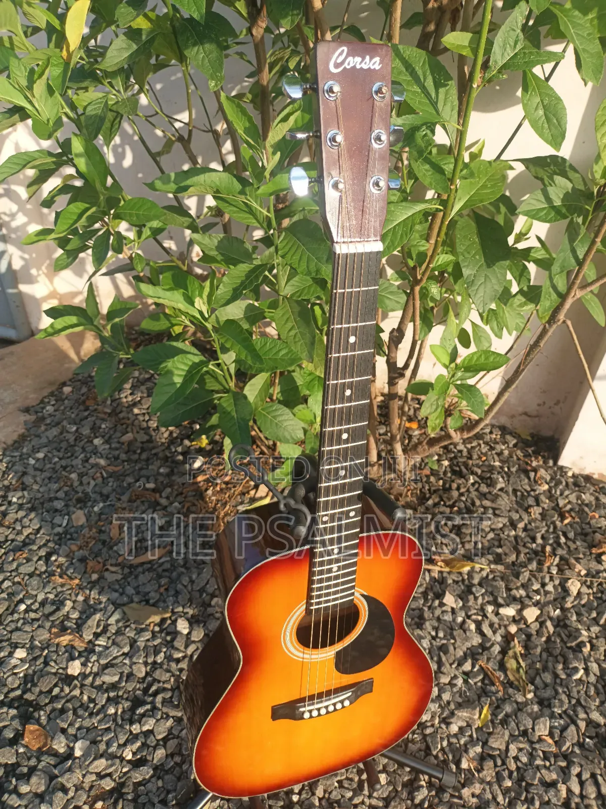 Corsa Fs 3bs 3/4 Size Acoustic Guitar Steel Strings in Tema ...