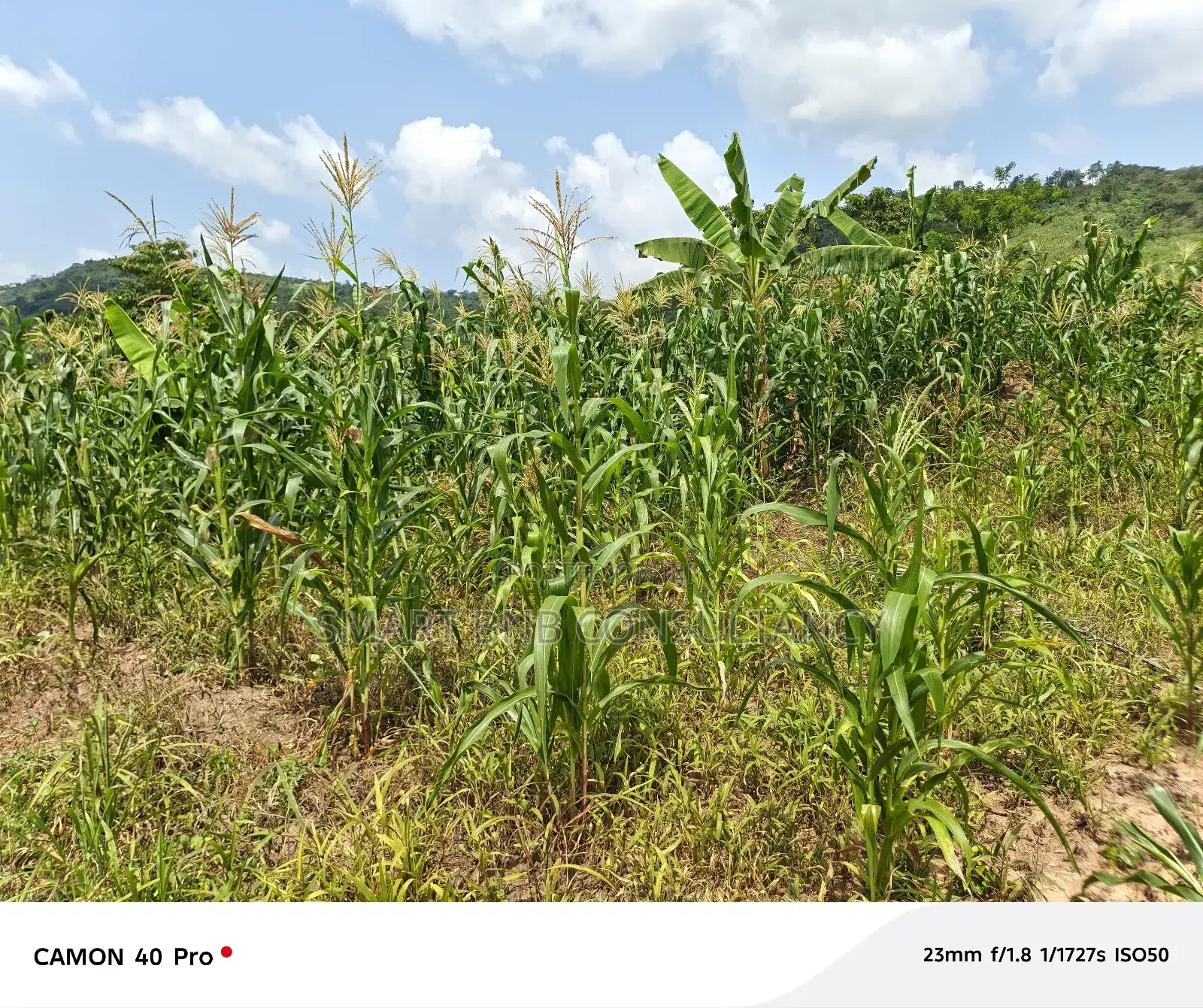 Ghc65,000: Plots of Land for Sale at Nyerede-Agavenya in New-Juaben ...