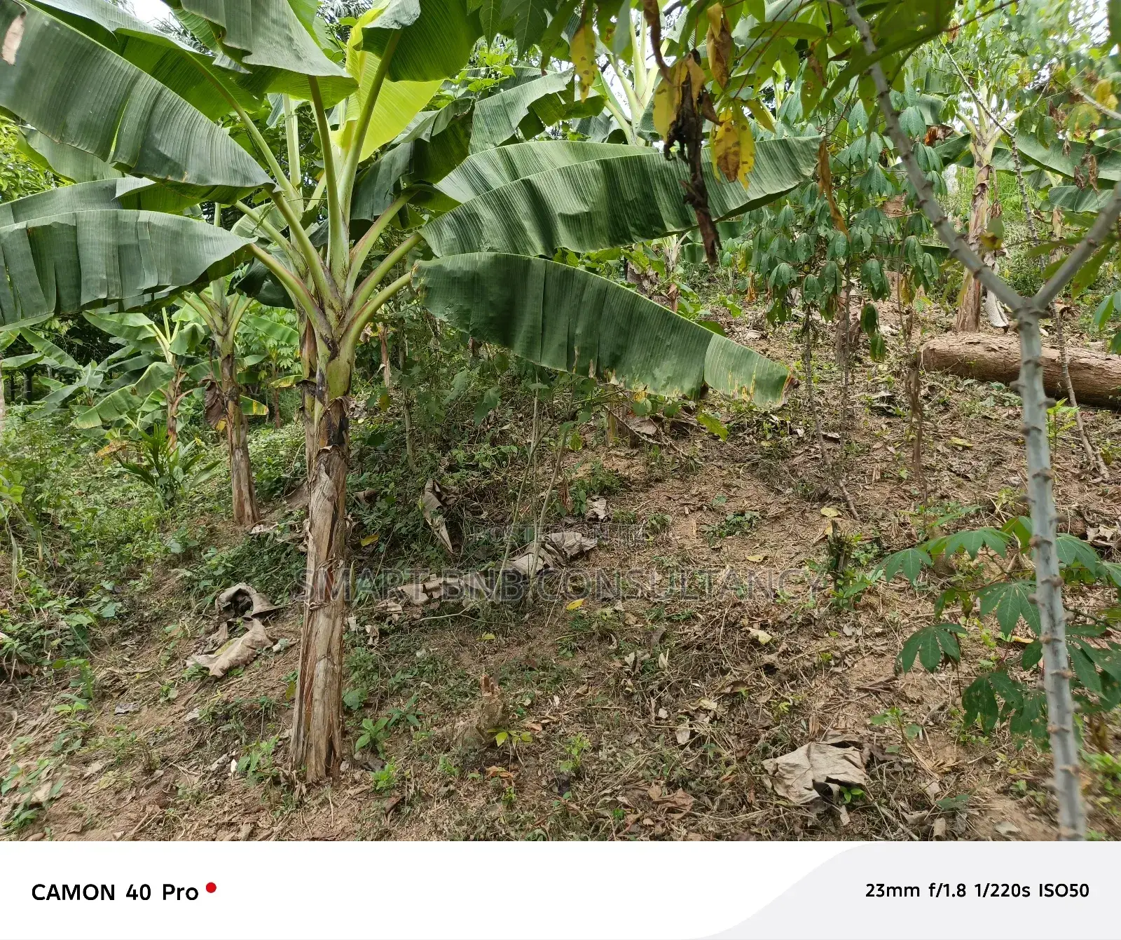 Ghc65,000: Plots of Land for Sale at Nyerede-Agavenya in New-Juaben ...