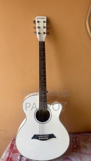 Givson Acoustic Guitar in Dome - Musical Instruments & Gear, Parrot ...