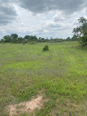 50 Acre Farmland in the Agogo Area. 90 Year Renewable Lease. in Asante ...