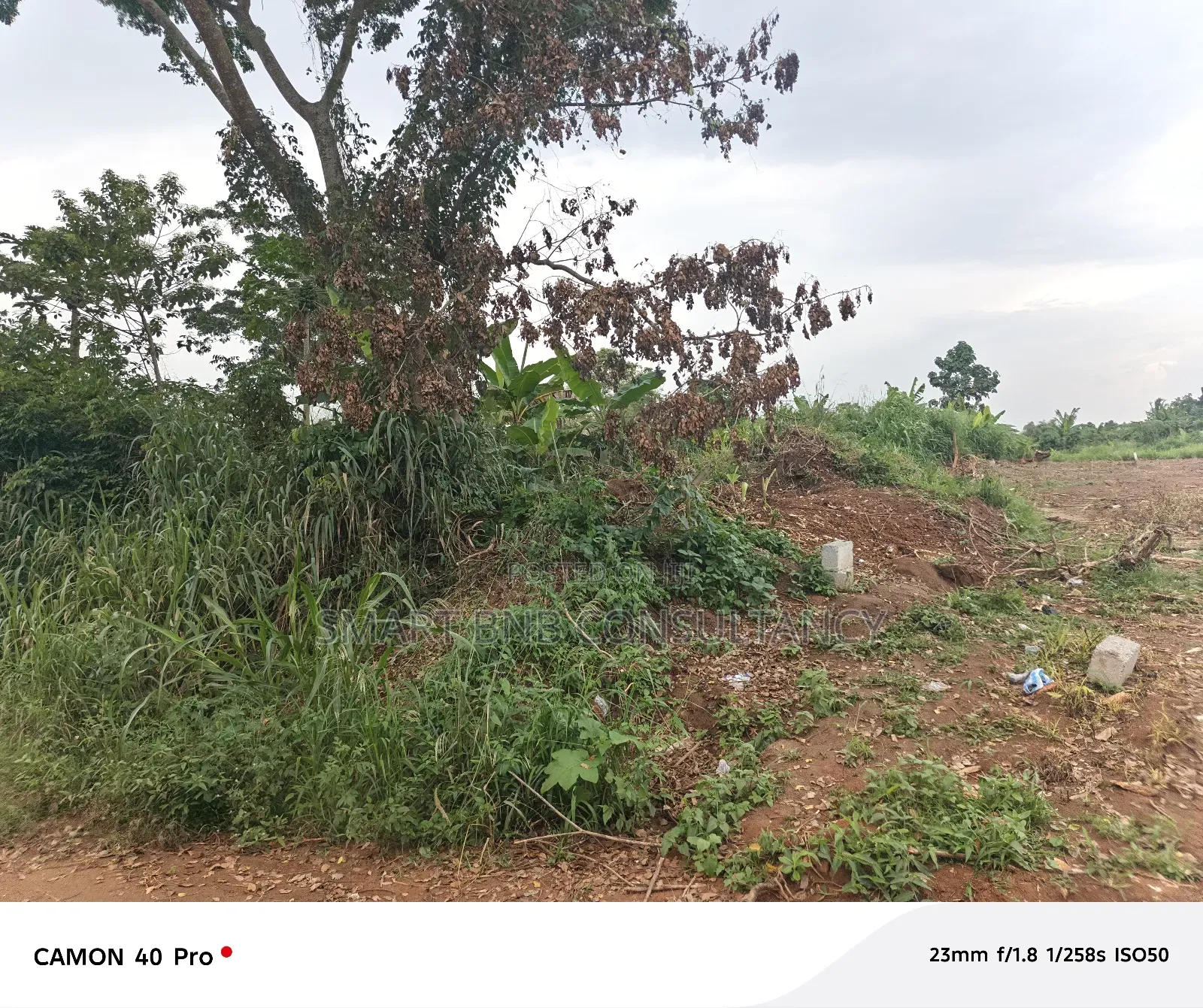 Promotion: 3 Plots for Sale: A Plot Is Ghc110,000: 100ft × 100ft in New ...