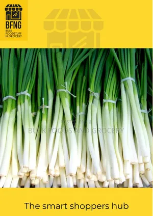 Spring Onions in Agbogloshie - Food & Beverages, Naa Torkornoo | Jiji ...