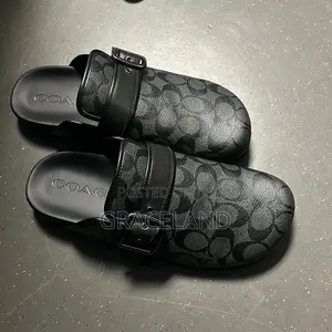 This Is Original Real Pure Leather Coach Clogs Half Shoe for Gentlemen ...