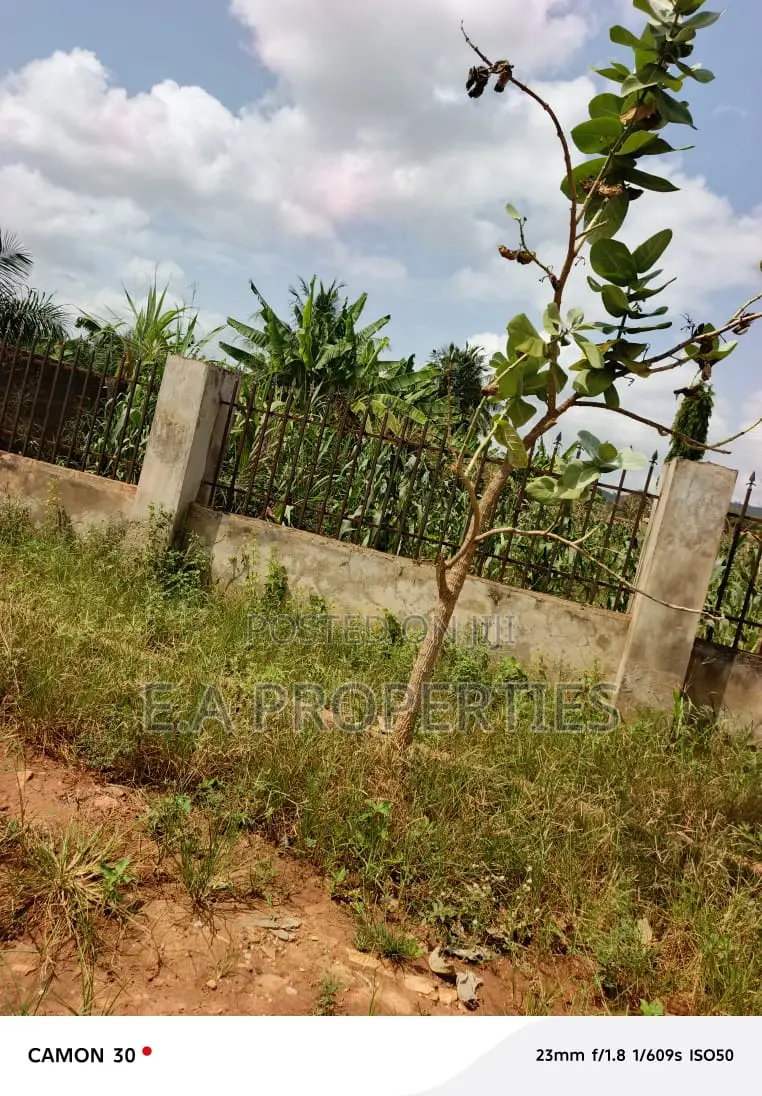 Land for Sale in Valley View Area - Land & Plots for Rent, Enoch ...