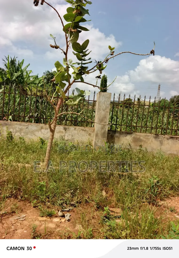 Land for Sale in Valley View Area - Land & Plots for Rent, Enoch ...