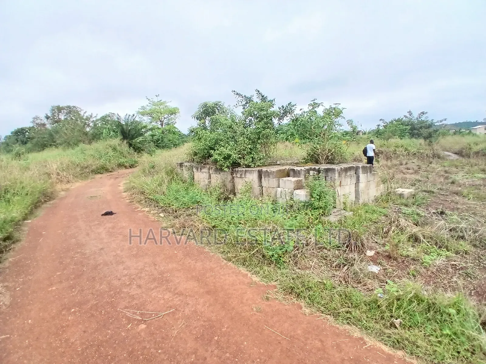 Land for Sale at Tech Appiadu-Donyina in Kumasi Metropolitan - Land ...