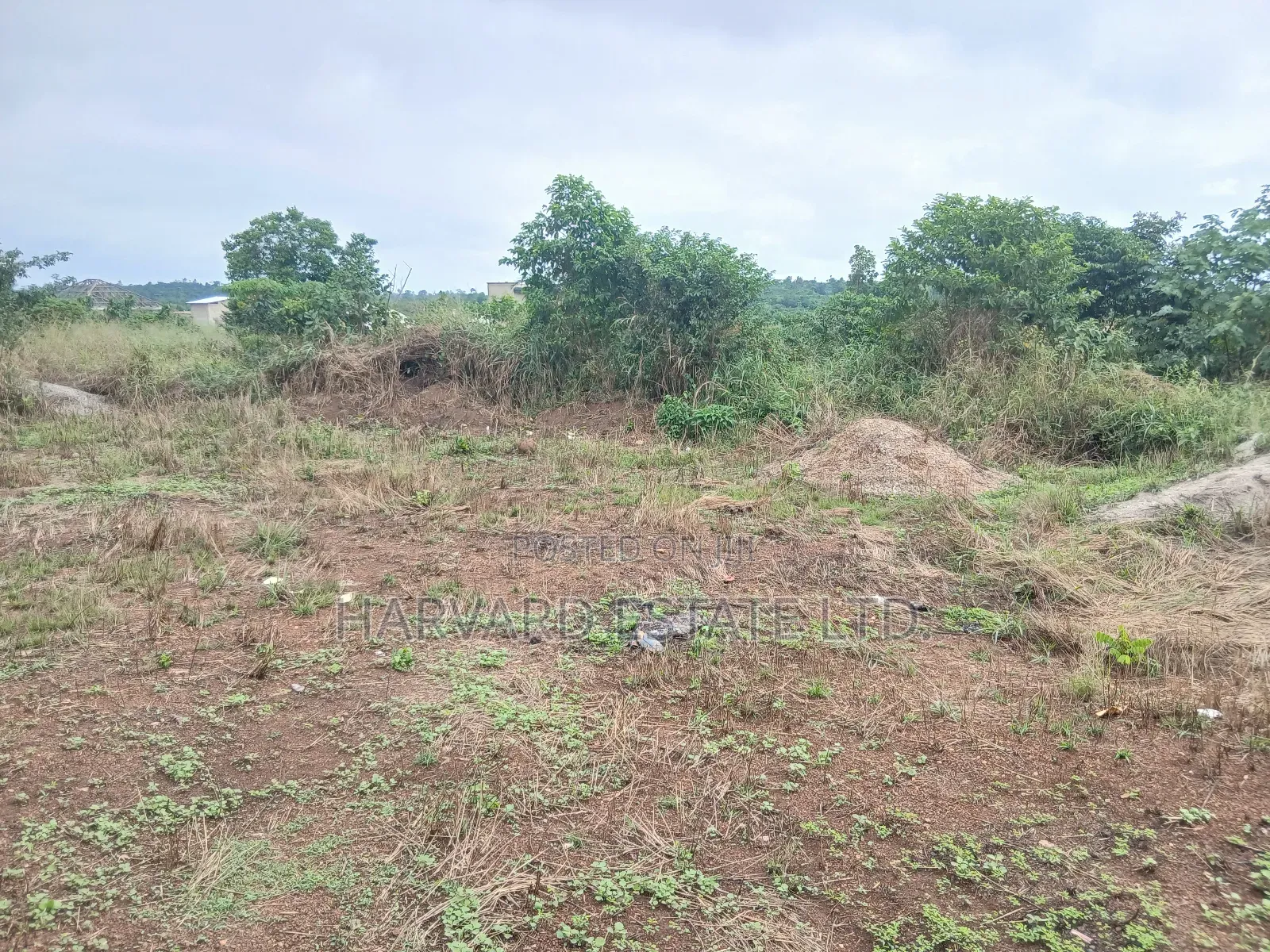Land for Sale at Tech Appiadu-Donyina in Kumasi Metropolitan - Land ...