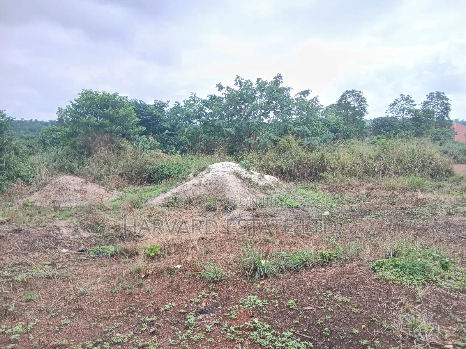 Land for Sale at Tech Appiadu-Donyina in Kumasi Metropolitan - Land ...