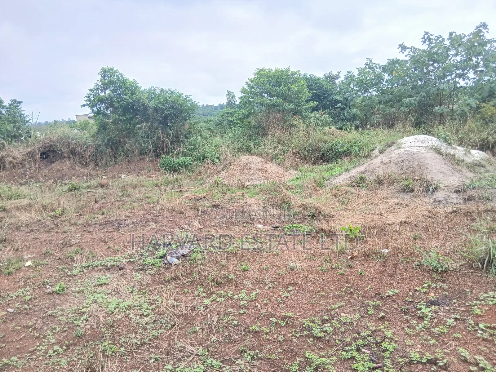 Land for Sale at Tech Appiadu-Donyina in Kumasi Metropolitan - Land ...